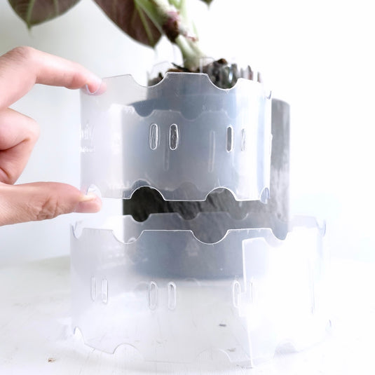 Plants on White - プラント本来の美しさを最大限に引き出すアクセサリー – Plants On White